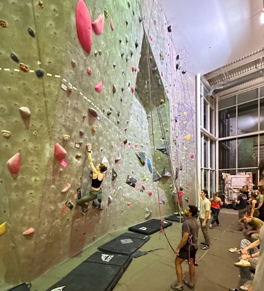 Wayne State Climbing Wall | Pebble Climbing | Pebble Climbing